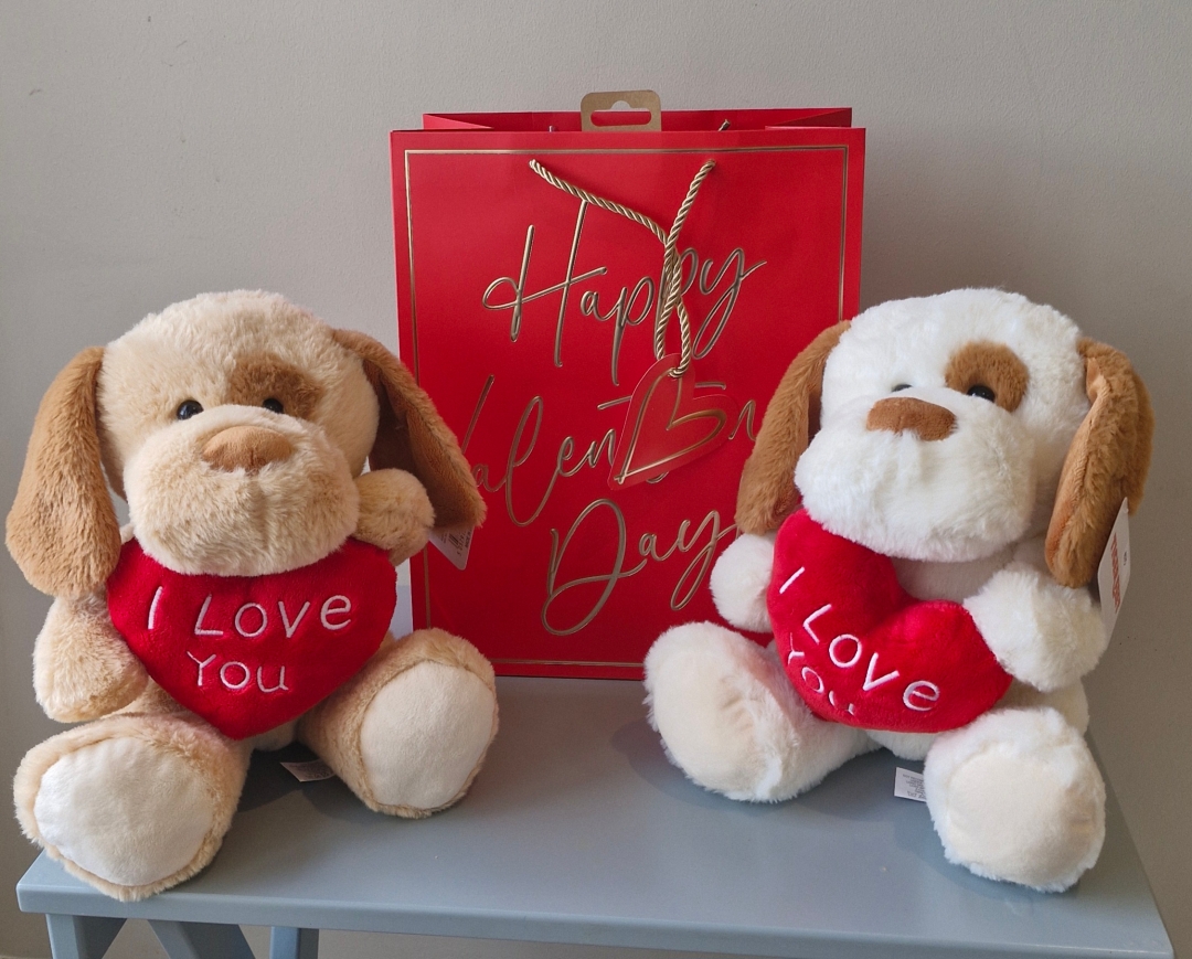 I Love You Floppy Dog in a Gift Bag – buy online or call 05394 80375