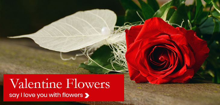 Home | Helena's Flowers | Gorey | Co Wexford